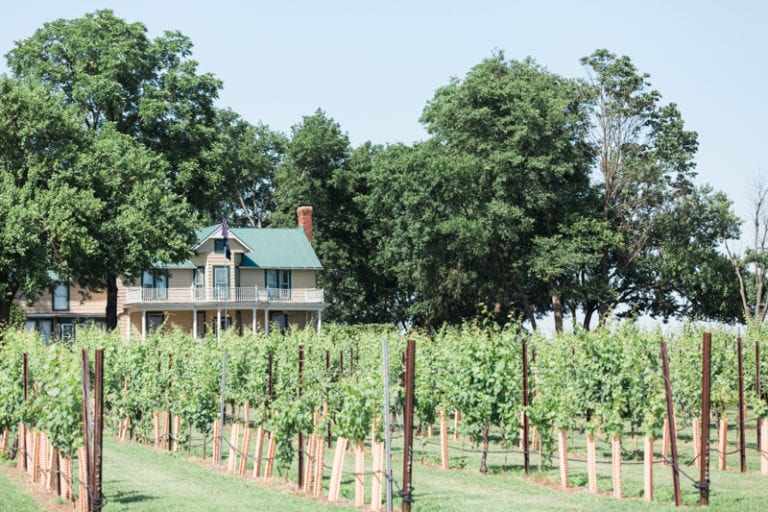 Old House Vineyard Wedding – Virginia Wedding Photographer | Birds of a ...