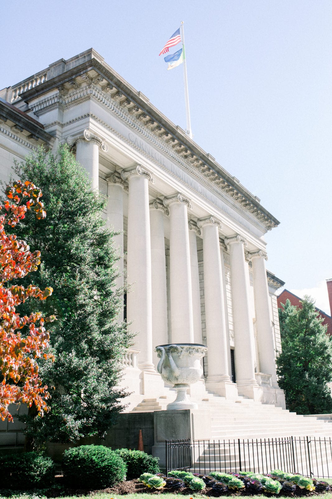 Preview – Carnegie Institution for Science Wedding | Birds of a Feather ...